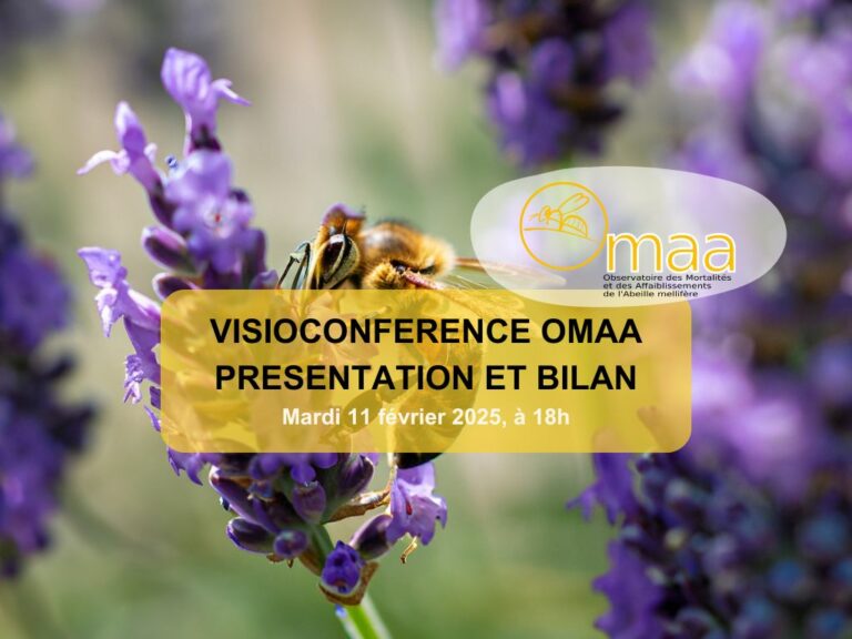 Présentation du dispositif OMAA – GTVBFC
